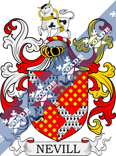 Nevill Family Crest, Coat of Arms and Name History