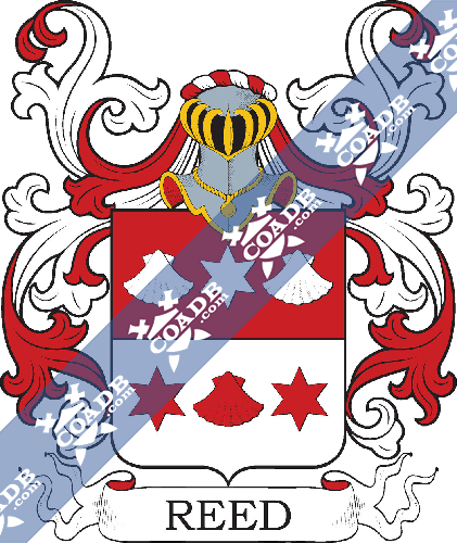 Reed Family Crest, Coat of Arms, and Name History